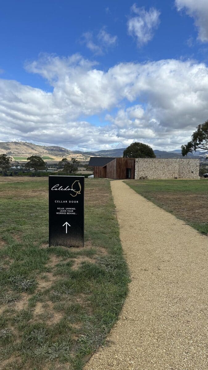 Check out the new Caledon Estate Vineyard!